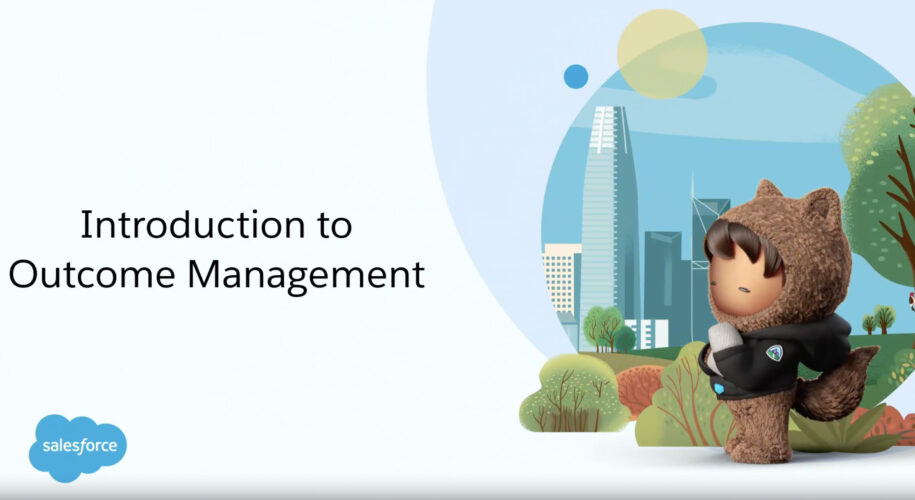 Vera Solutions: Salesforce for Nonprofits & CRM Solutions